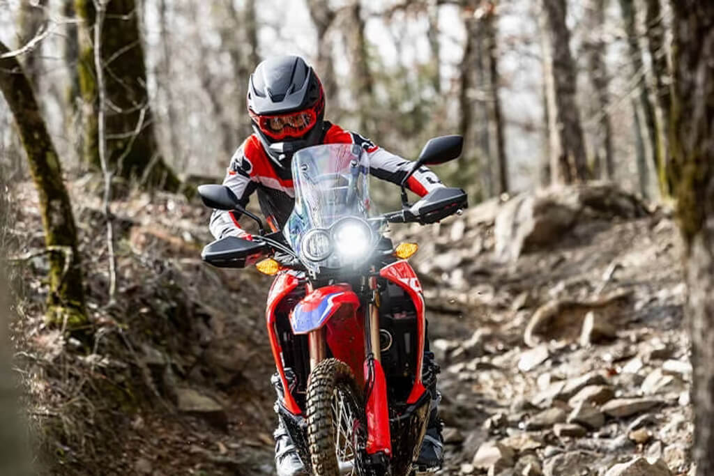 The Best Adventure Bikes for Beginners To Take You Far and Wide